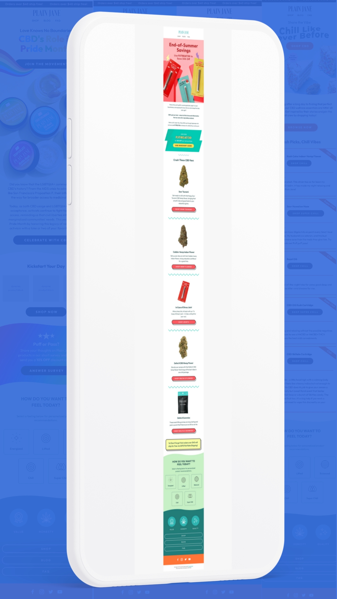 Behind the Win: Insights from Our Award-Winning Email - WIN Email Marketing